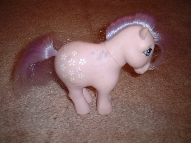 Please title this page. (terms.html)